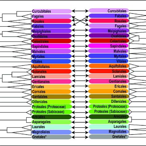 Net Relatedness Index Nri And Nearest Taxon Index Nti Nri And Nti