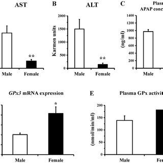 Comparison Of APAPinduced Hepatotoxicity Plasma APAP Concentration