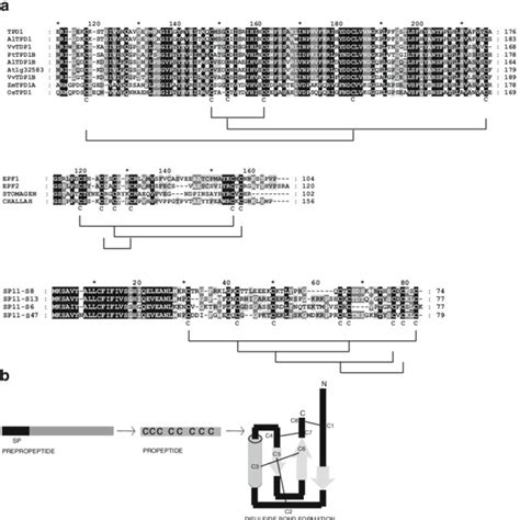 Brassinosteroid Biosynthesis Pathway Download Scientific Diagram
