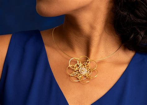 Comment Bien Choisir Son Collier Exosijoli