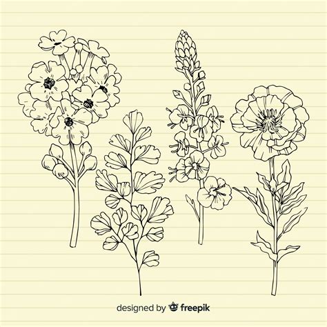 現実的な手描きの花と葉 無料のベクター