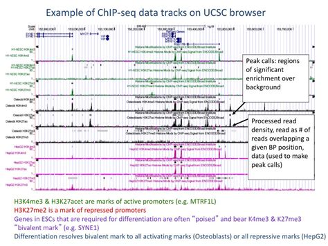 PPT ChIP Seq Data Analysis PowerPoint Presentation Free Download ID