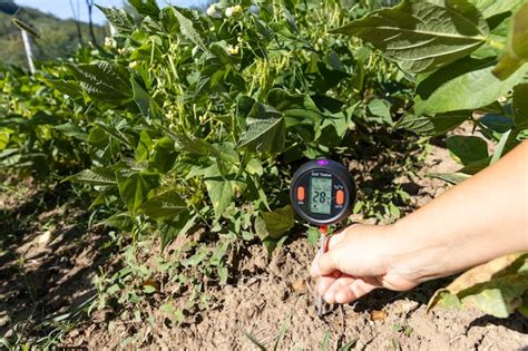 Premium Photo Measuring Temperature Moisture Content Of The Soil