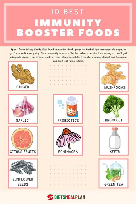 Immune Booster Foods Artofit
