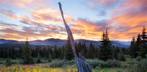 Linda Miner Vip Real Estate Colorado