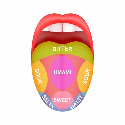 Taste Buds Map