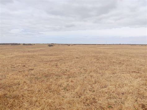 2648 Springdale Road Jerdacuttup Wa 6346 Sold Rural Mixed Farming