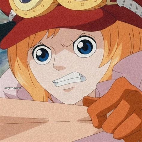 One Piece Koala Koala One Piece Ícones