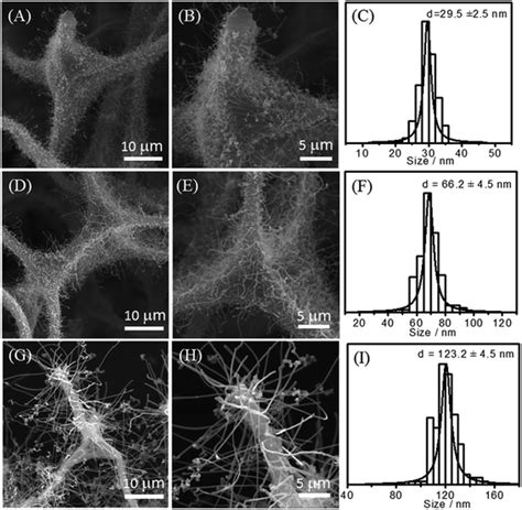 Three Dimensional N Doped Carbon Nanotube Carbon Foam Hybrid An Effective Carrier Of Enzymes