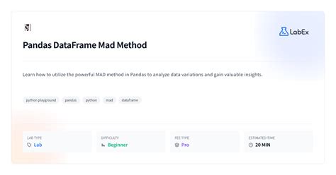 pandas dataframe mad method labex