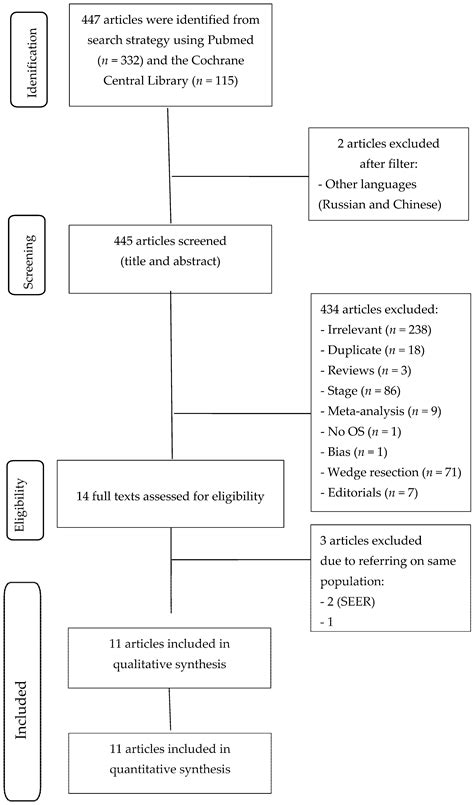 Life Free Full Text Oncological Outcomes Of Segmentectomy Versus
