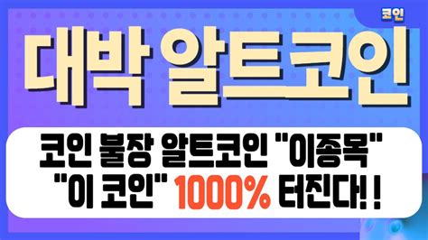 대박코인 대박 종목은 어디 알트코인 랠리 예상 코인추천 알트코인추천 급등코인추천 코인분석 코인전망 비트코인 Youtube