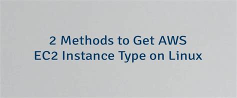 2 methods to get aws ec2 instance type on linux lindevs