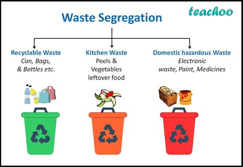 What Is The Importance Of Waste Segregation Netsol Wa