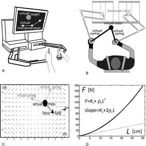 Main Features Of The Experimental Setup A Bimanual Haptic Robot Download Scientific Diagram