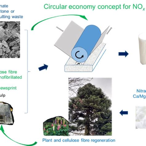 The Circular Economy Concept For Nox Mitigation Photographs By Download Scientific Diagram