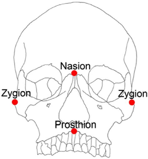The Measurement Of Fwhr Download Scientific Diagram