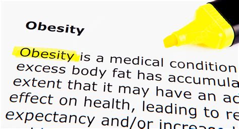 Obesity Overweight Health White Photo Background And Picture For Free
