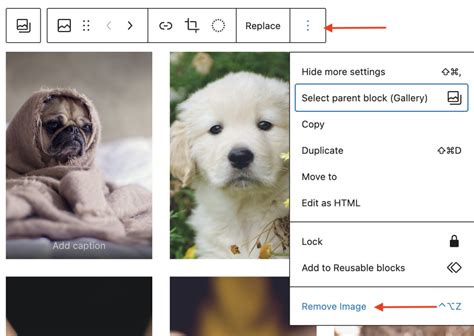 Gallery Block Wordpress Org Documentation