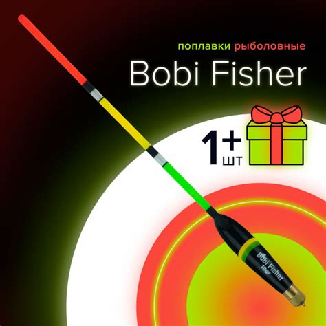 Поплавок для летней рыбалки Bobi Fisher Waggler BF302 10 г + тубус ...