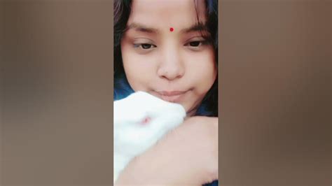 Animel Lover😍 Youtube