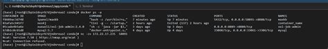 求助docker安装镜像后无法正常启动 MaxKB 社区论坛 FIT CLOUD 飞致云