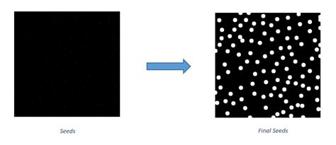 Github Prubiocosta 3d Cell Segmentation With Imagej