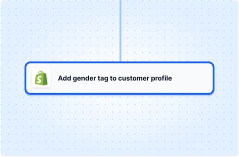 AI Gender Tagging For Shopify Customers Automated Segmentation