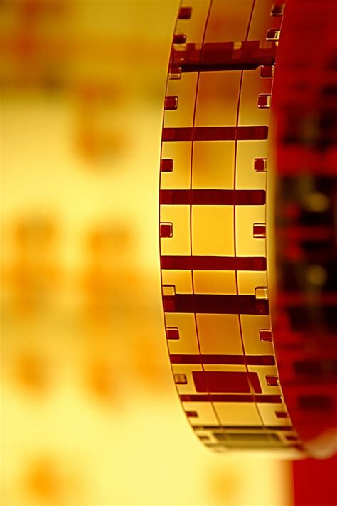 1162 필름 필름 무료 다운로드 사진 그림 및 배경 이미지 Pngtree