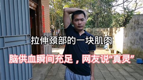 拉伸颈部的一块肌肉脑供血瞬间充足网友真灵 哔哩哔哩