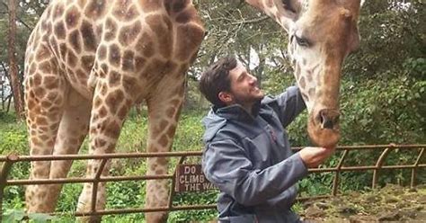 My Friend Meeting The Imgur Giraffe Imgur