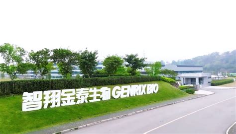 重庆首富的第二个ipo智翔金泰，上市首日即破发界面新闻