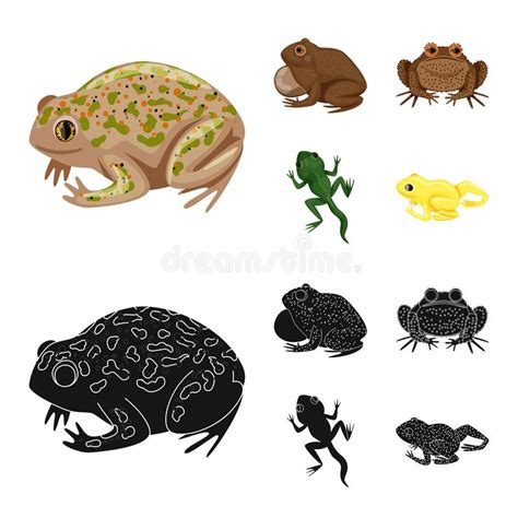 Vector Illustration Of Wildlife And Bog Symbol Collection Of Wildlife
