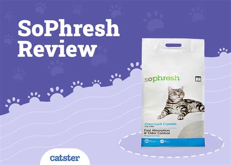 So Phresh Cat Litter Review Of 2025 Recalls Pros And Cons Catster