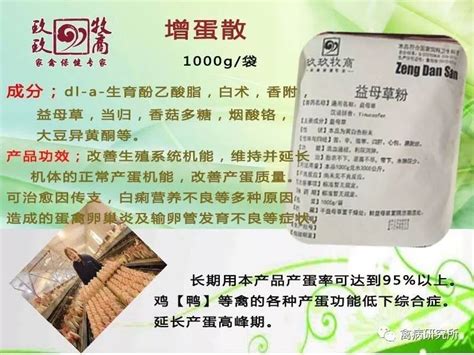 鸡群正常为什么产蛋量突然下降了