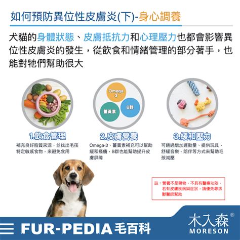 你該認識的狗狗貓咪「異位性皮膚炎」懶人包總整理 木入森moreson｜寵物保健食品｜全方位守護毛孩健康