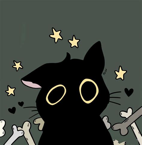 Cat Story Highlight Cover Artofit