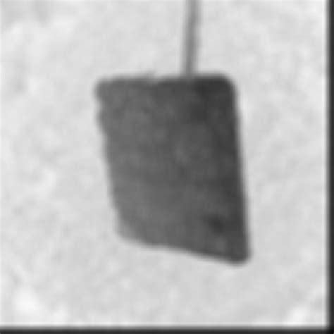 Results Of Applying Region Growing And A 4d Moving Average Filter To Download Scientific