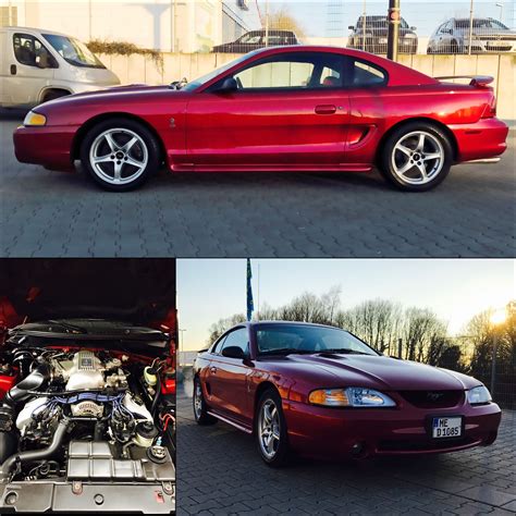 Ford Mustang Sn95 Svt Cobra