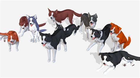 3d Lowpoly Dog Border Collie Turbosquid 2063220