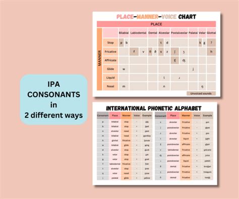 Ipa Speech Therapy Bundle Therapy Sheets