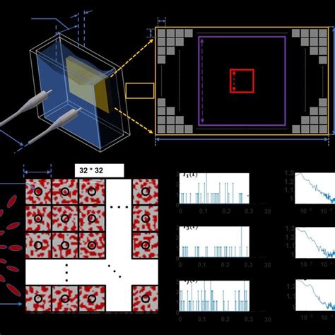 Pdf Fast And Sensitive Diffuse Correlation Spectroscopy With Highly Parallelized Single Photon
