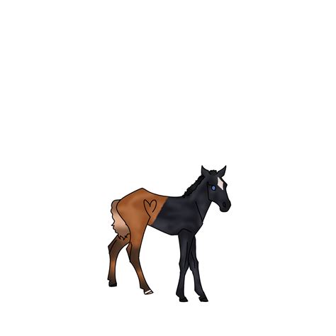 Foal 1 By Criollos201 On Deviantart