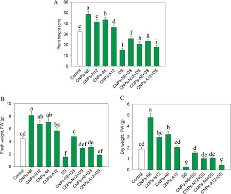 Effect Of Cnps Treatment Cnps N6 Cnps N12 Cnps A6 Cnps A12 Ds