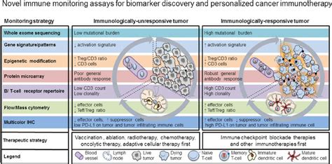 High Throughput Immune Assessment For Biomarker Discovery And Download Scientific Diagram