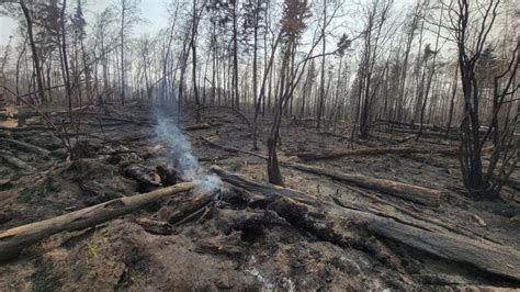 Wildfires In Grande Prairie Growing Due To Winds And High Temperatures