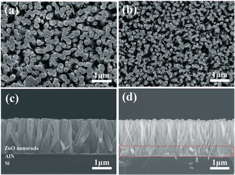 SEM Photographs Of Arrayed ZnO Nanorods Grown With And Without An AlN
