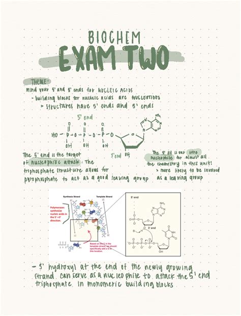 Biochem Exam Two Professor Coyle Unit 2 Bio Chem Editor Taito Theme