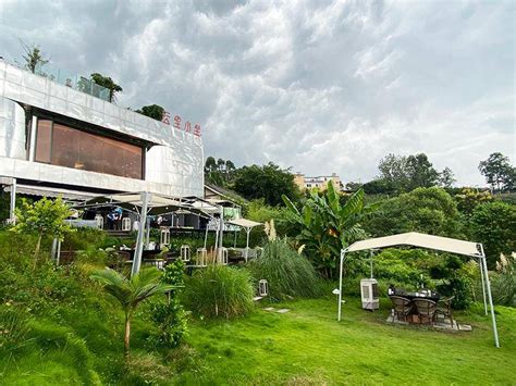 云里小坐山上见尽享天鹅蓬下坐云拥雾望城观山的闲适与恬淡 搜狐大视野 搜狐新闻