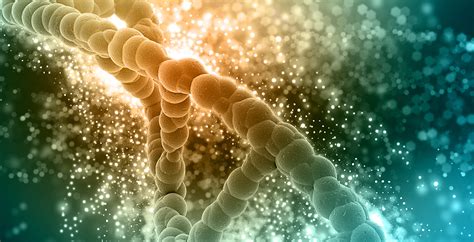 EBook NGS Based Clinical Testing